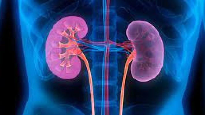 PRERENAL IPS – megawebcentro Pinares